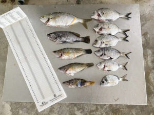 Evanur bokep indo so she s doing this part time and on the